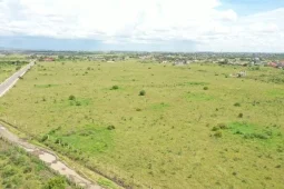 Buy Kijani Phase 2 in Katani | SIC Prime